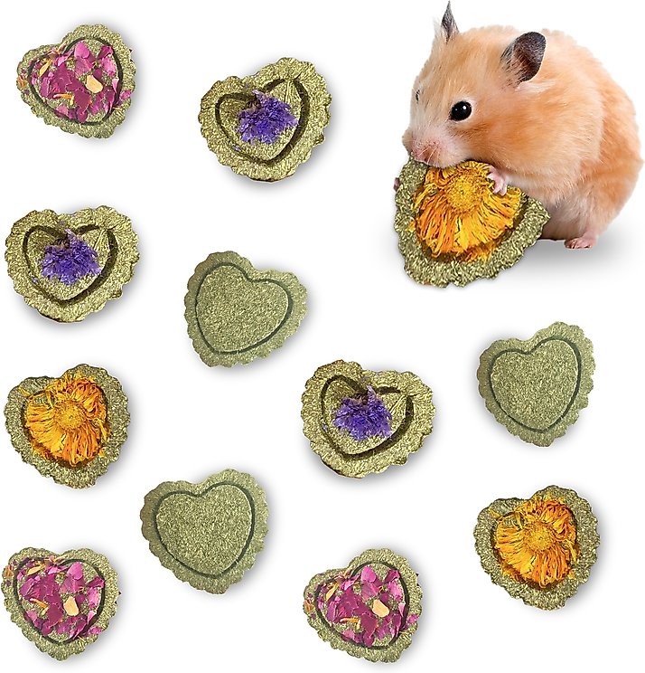 Hamster Treats | Chewy
