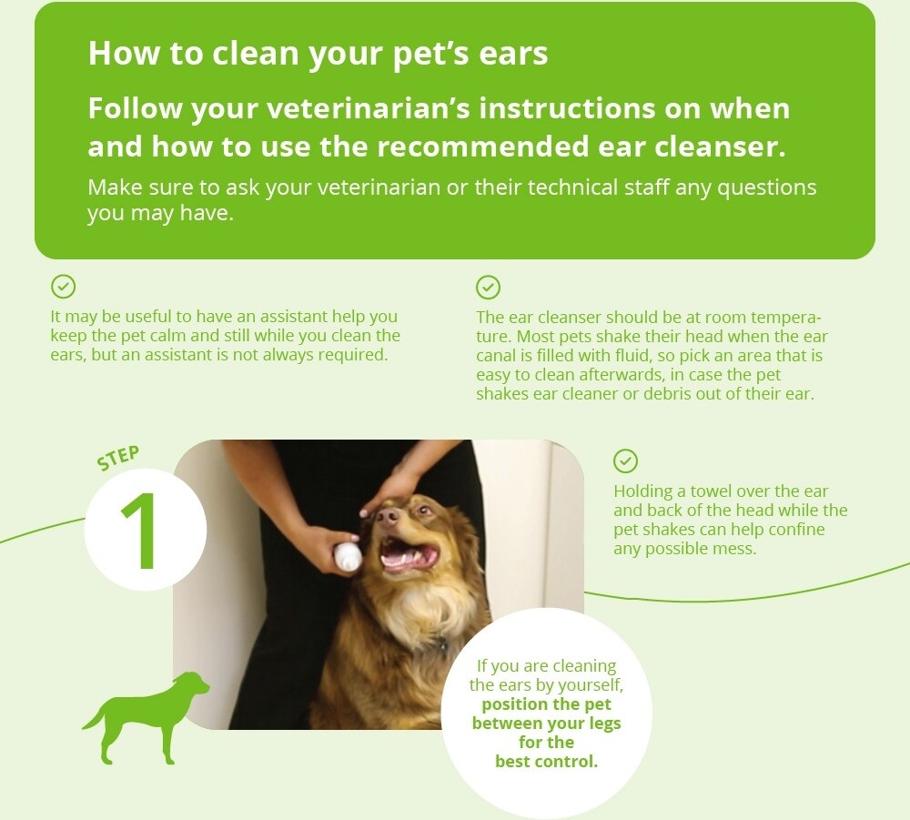 TRIZEDTA Aqueous Flush for Dogs & Cats, 4-oz bottle - Chewy.com