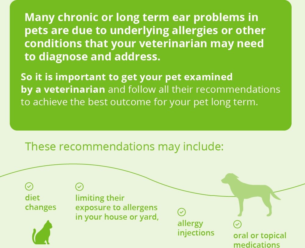 TRIZEDTA Aqueous Flush for Dogs & Cats, 4-oz bottle - Chewy.com