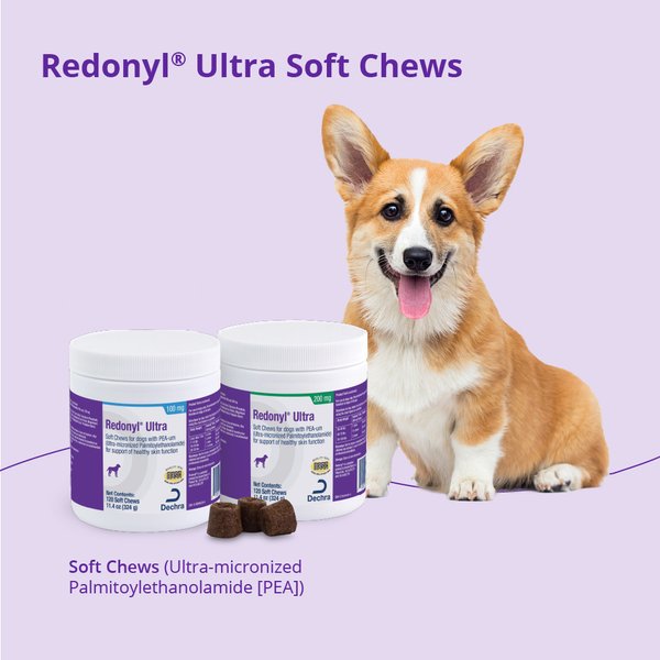 REDONYL Ultra Soft Chews Allergy Supplement for Dogs, 100-mg, 120 count ...