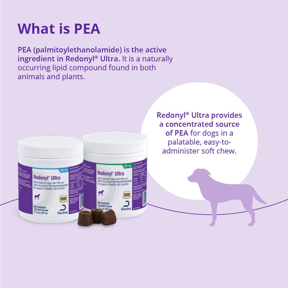 REDONYL Ultra Soft Chews Allergy Supplement for Dogs, 100-mg, 120 count ...