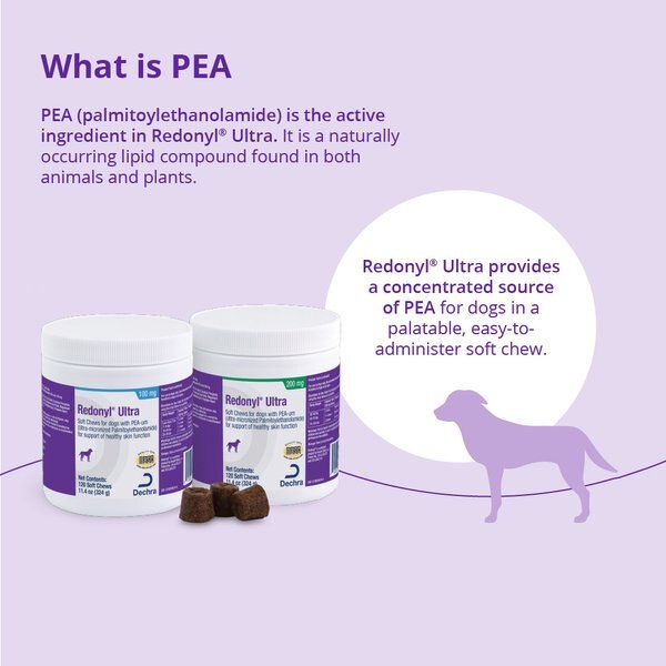 REDONYL Ultra Soft Chews Allergy Supplement for Dogs, 100-mg, 120 count ...