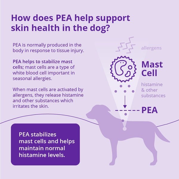 REDONYL Ultra Soft Chews Allergy Supplement for Dogs, 100-mg, 120 count ...