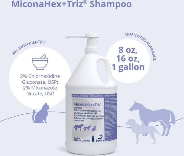 MICONAHEX+TRIZ Shampoo for Dogs, Cats & Horses, 1-gallon bottle - Chewy.com