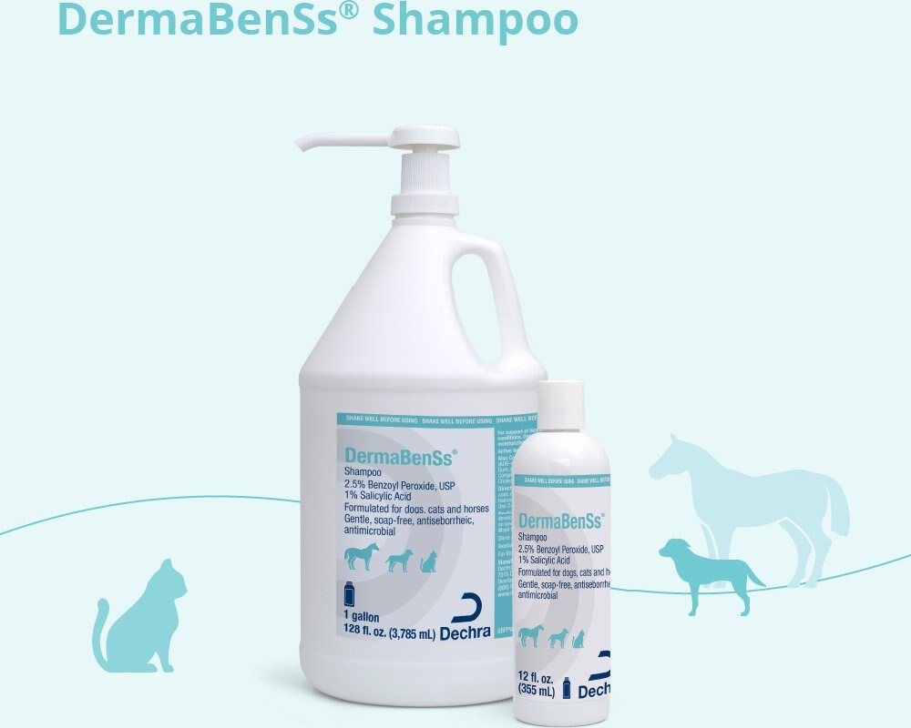 DERMABENSS Shampoo for Dogs, Cats & Horses, 12-fl oz bottle - Chewy.com