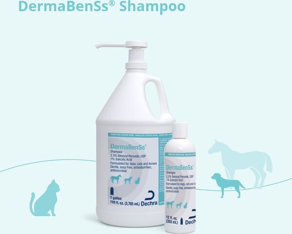 DERMABENSS Shampoo for Dogs, Cats & Horses, 12-fl oz bottle - Chewy.com