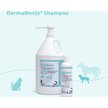DERMABENSS Shampoo for Dogs, Cats & Horses, 12-fl oz bottle - Chewy.com