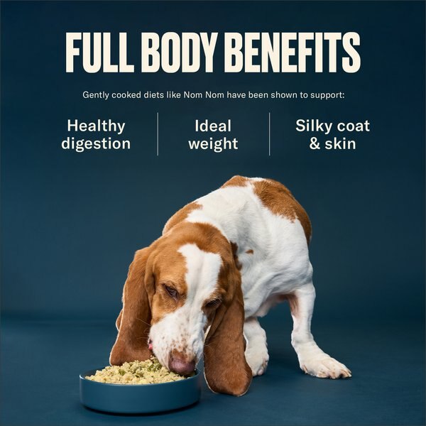 NOM NOM Freshly-Made Frozen Grain-Free Pork Potluck Dog Food, 14-oz ...