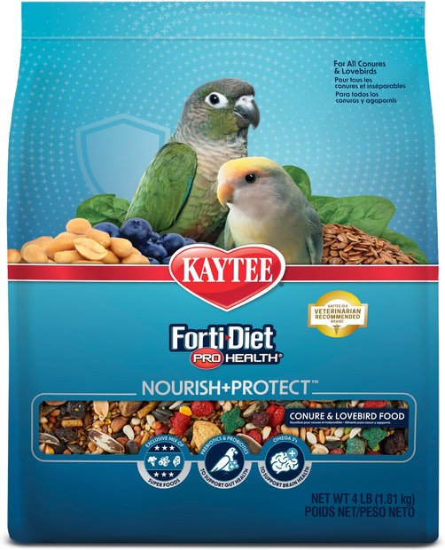 Kaytee - Free shipping | Chewy