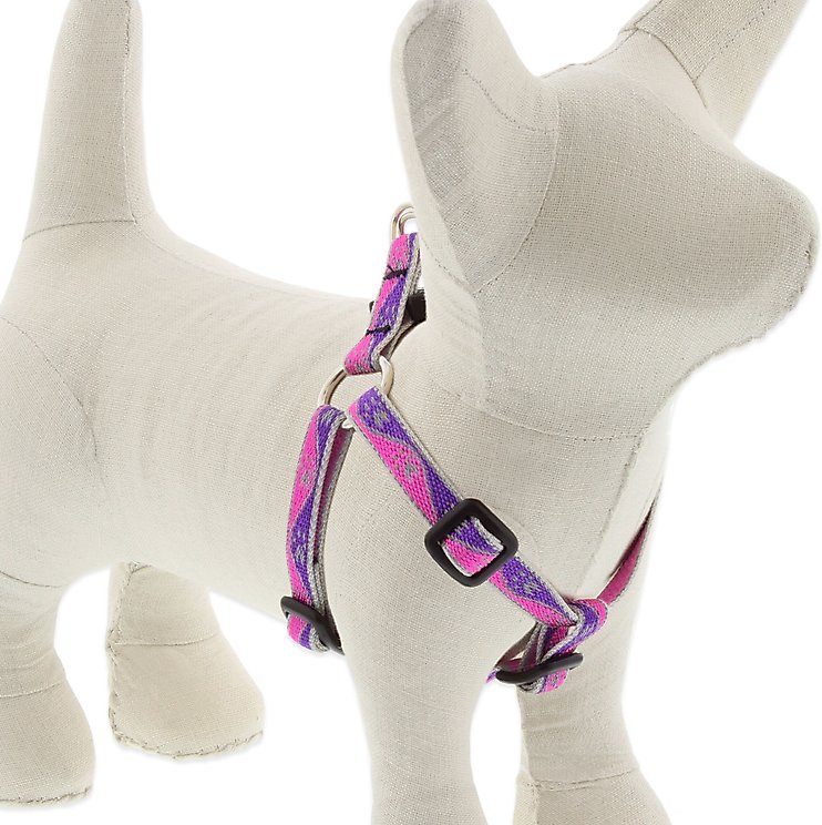 SMALL BREED DOG HARNESSES (Free Shipping) | Chewy
