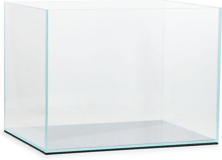 Fish Tanks & Aquariums | Chewy