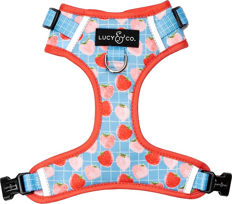 MEDIUM DOG HARNESSES (Free Shipping) | Chewy