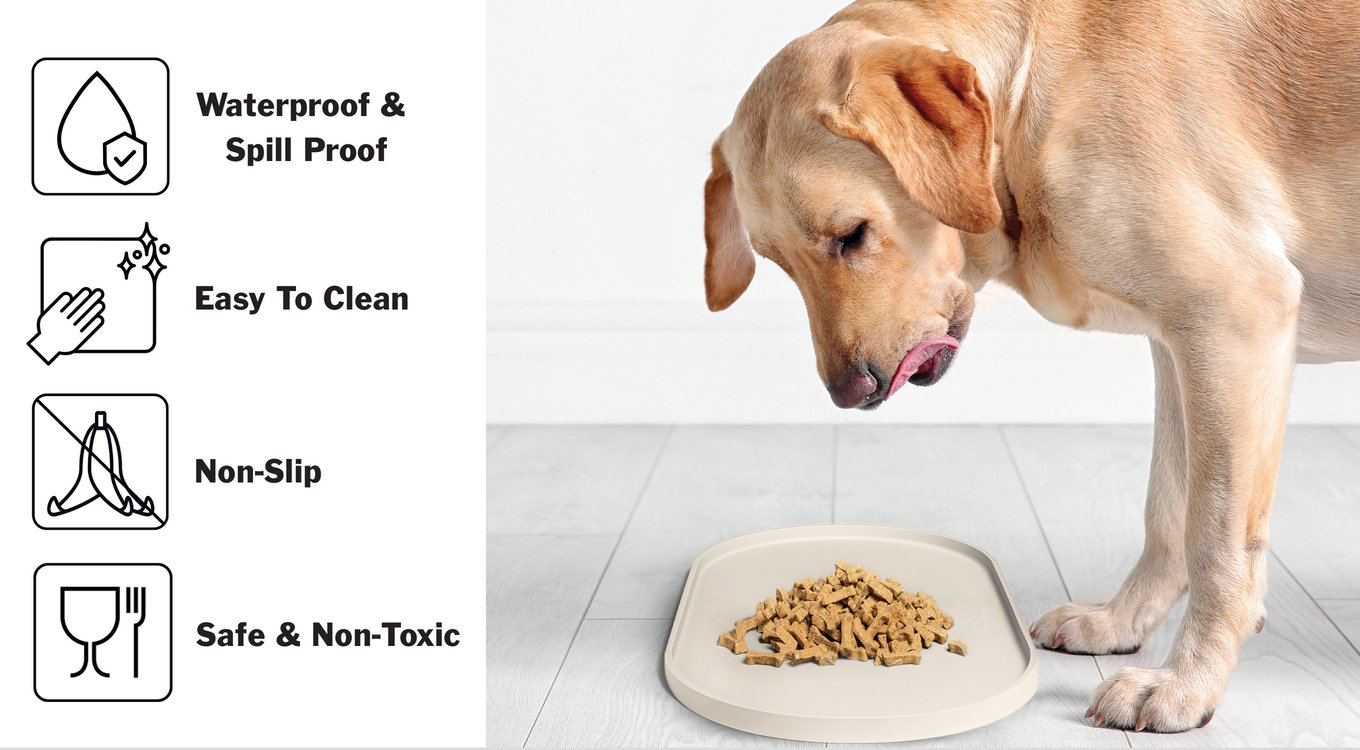 DOGBUDDY Oval Dog & Cat Placemat, White Sand, Large - Chewy.com
