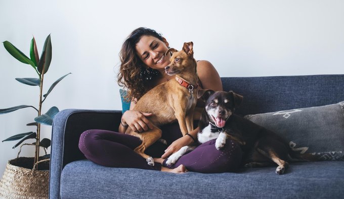 Proin Chewable for Dogs - Free shipping | Chewy