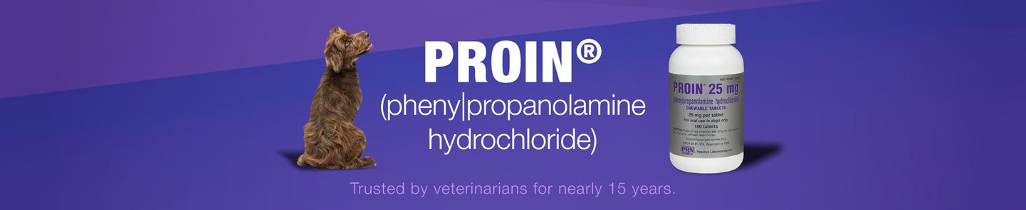 Proin - Free shipping | Chewy
