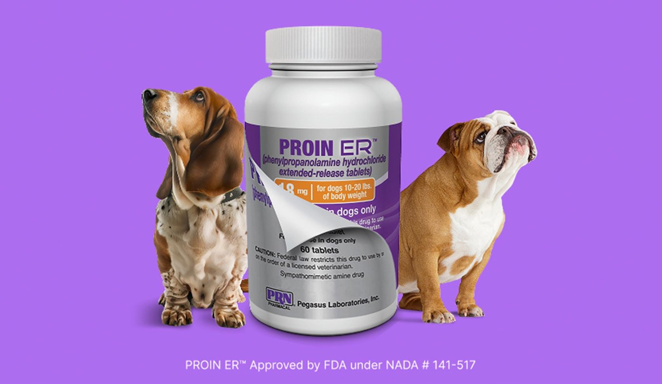 Proin Chewable for Dogs - Free shipping | Chewy