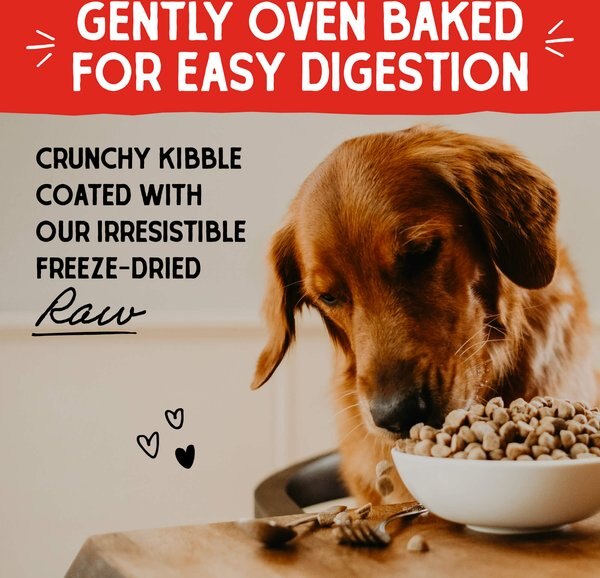 STELLA & CHEWY'S Raw Coated Wholesome Grain Cage-Free Chicken Recipe ...