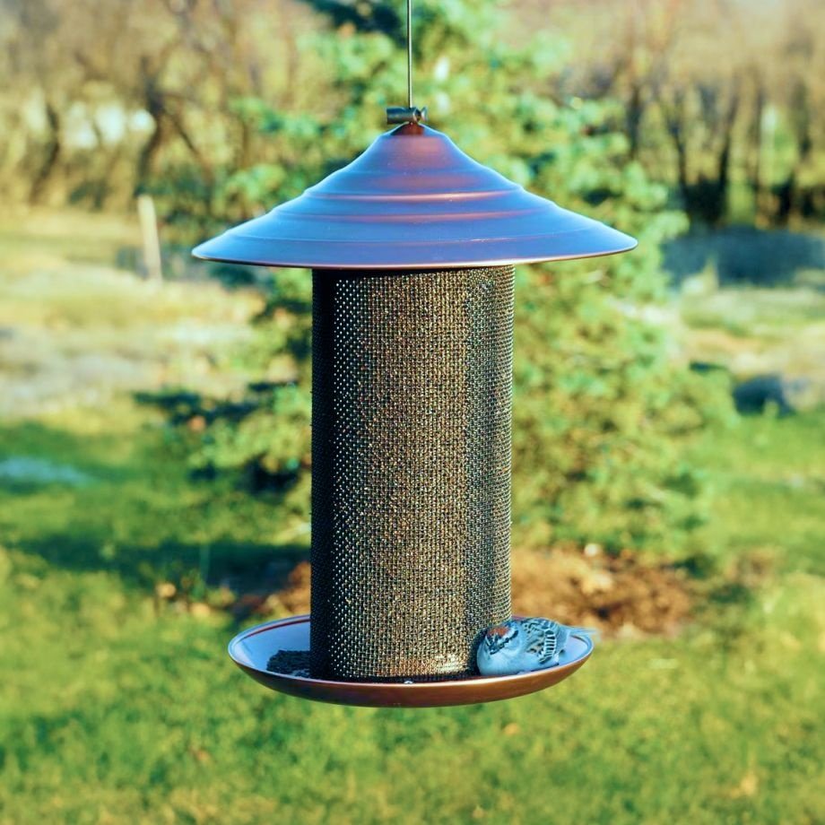 Wild Bird Food | Chewy