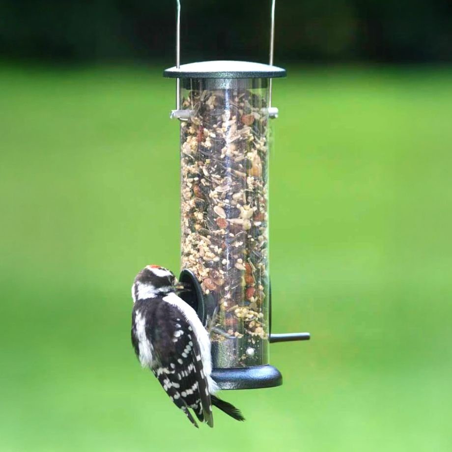 Wild Bird Food | Chewy