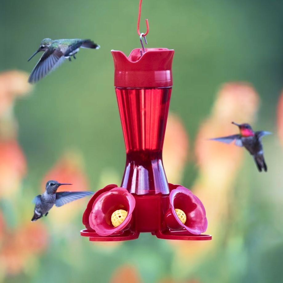 Wild Bird Food | Chewy