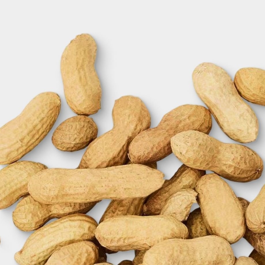Wild Bird Food | Chewy