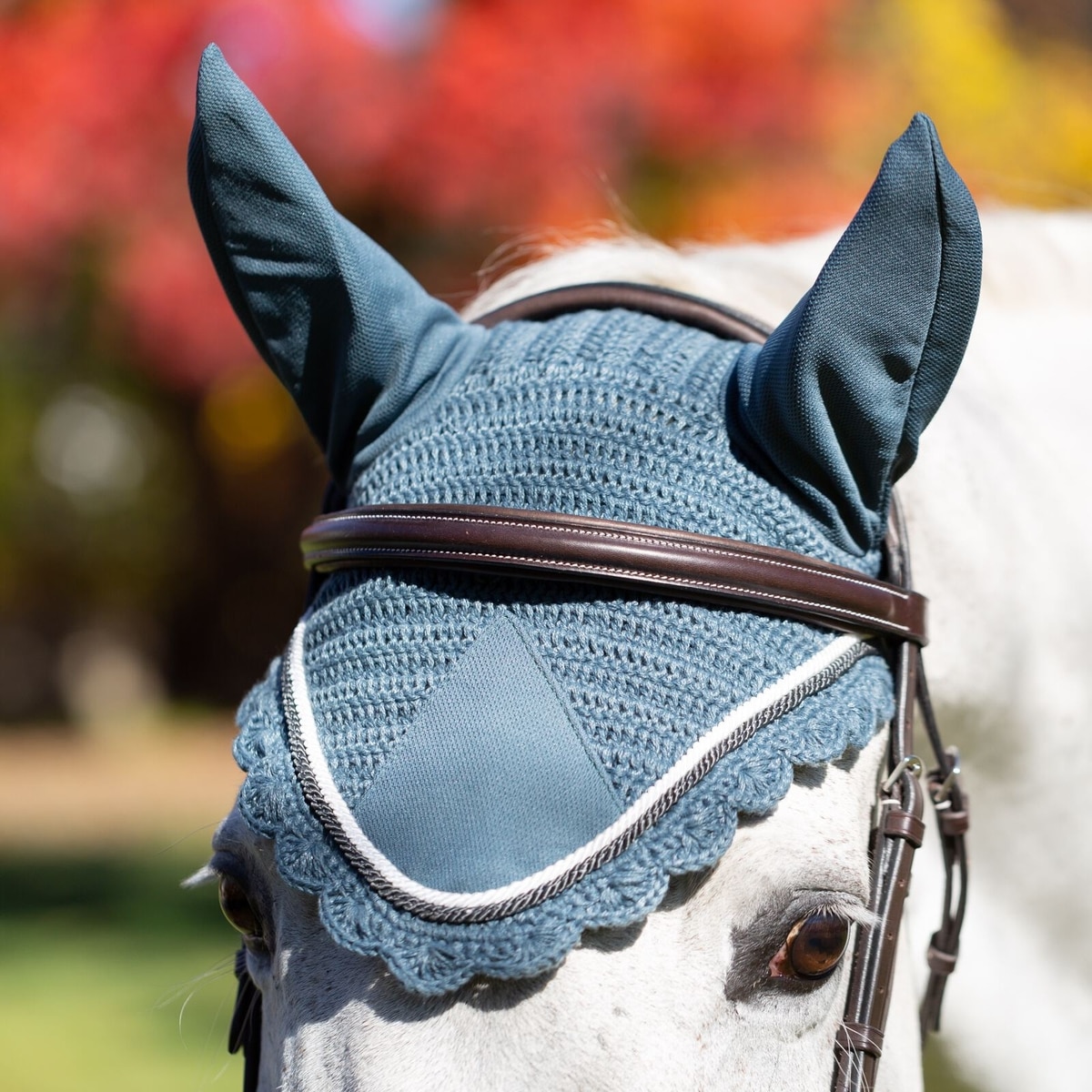 EQUINAVIA Nord Horse Ear Net, Mirage Blue/Gray - Chewy.com