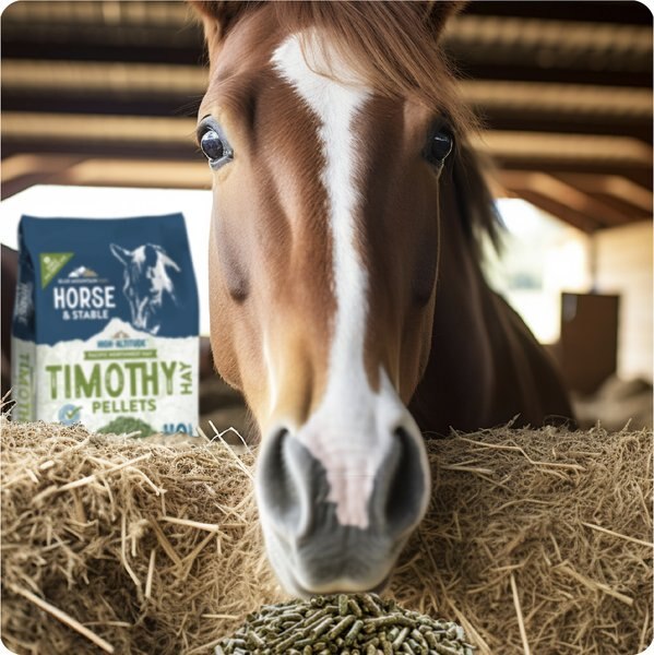 BLUE MOUNTAIN HAY High Altitude Timothy Hay Pellets Horse Feed, 40-lb ...