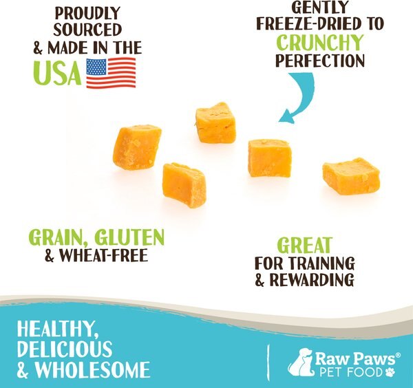 RAW PAWS Freeze-Dried Cheddar Cheese Dog Treats, 3-oz - Chewy.com