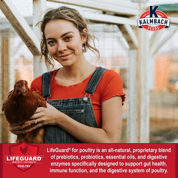 KALMBACH FEEDS LifeGuard Poultry Supplement, 2-lb bag - Chewy.com