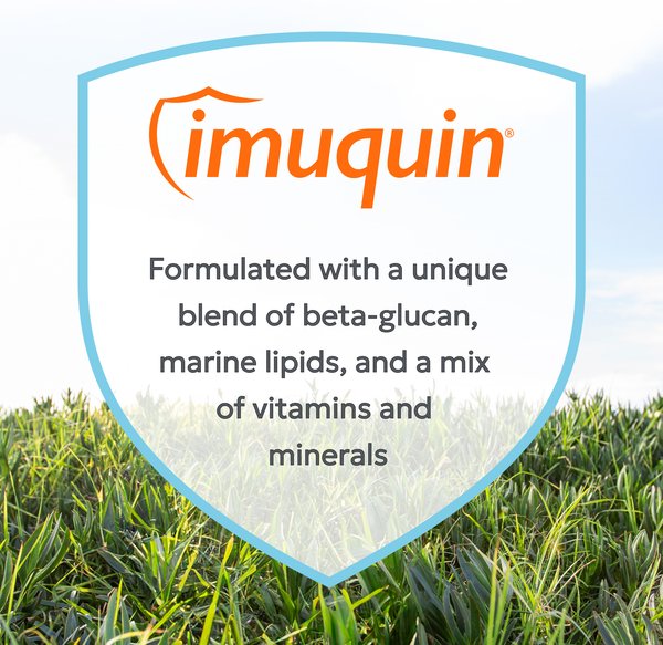 NUTRAMAX Imuquin with Beta Glucans, Marine Lipids, Vitamins & Minerals ...