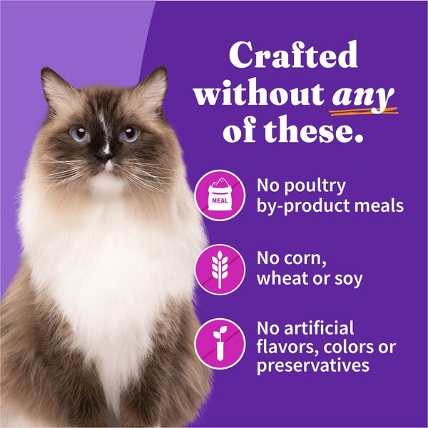 Out of Stock - HALO Turkey & Duck Recipe Pate Grain-Free Indoor Cat ...