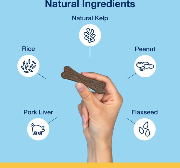 Out of Stock - PRODEN PlaqueOff System Peanut Butter & Bacon Flavor ...