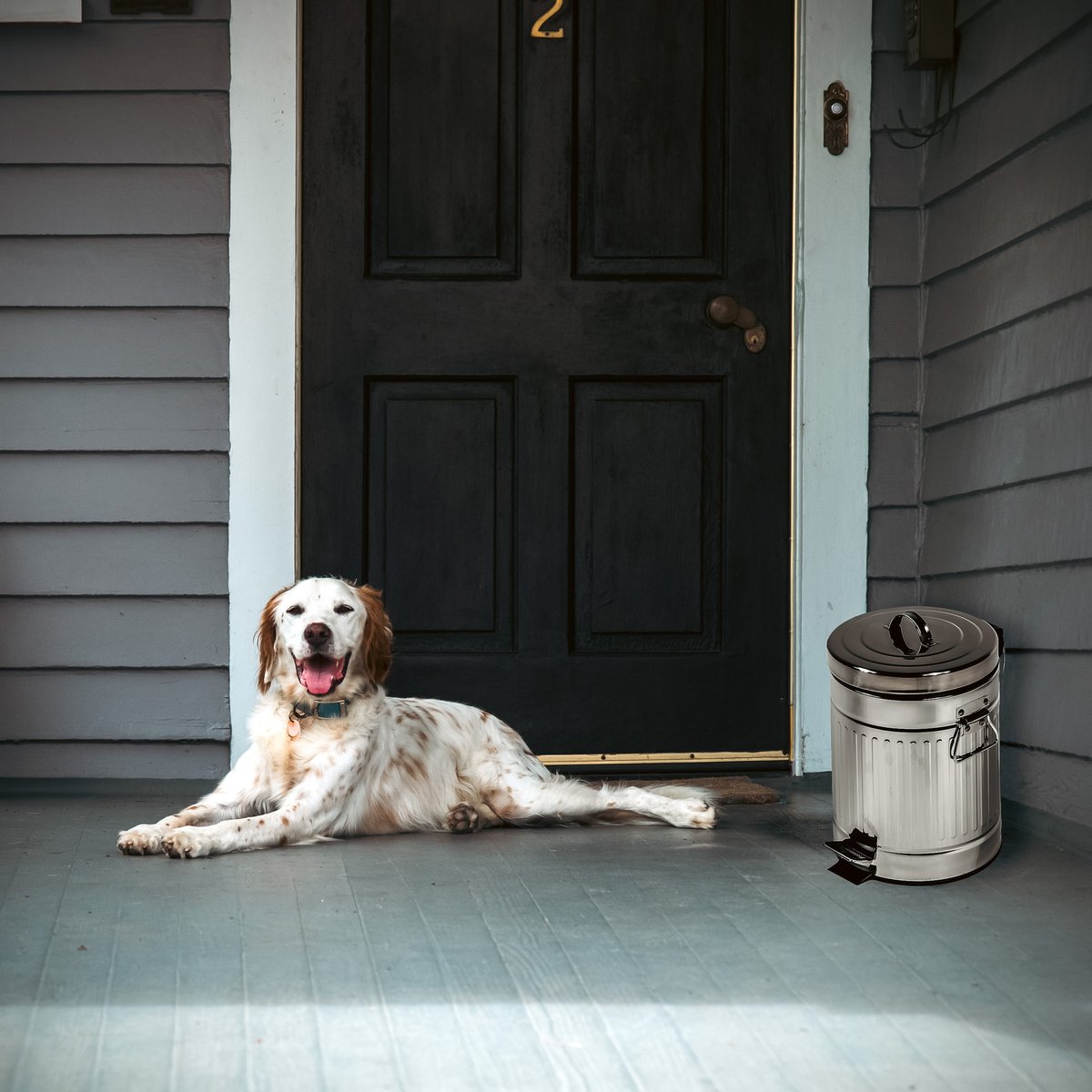 PET FIT FOR LIFE Outdoor Dog Waste Can & Poop Bag Roll, Small - Chewy.com