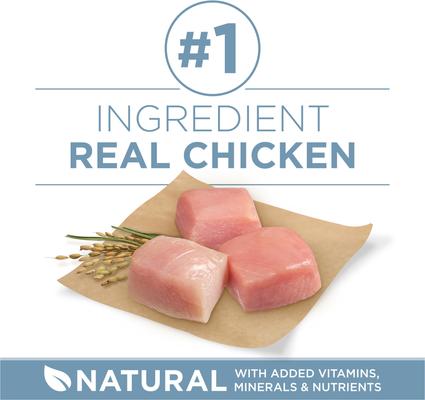 PURINA ONE +Plus Adult Joint Health Formula Dry Dog Food, 8-lb bag ...