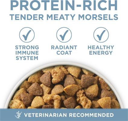 PURINA ONE +Plus Adult Joint Health Formula Dry Dog Food, 8-lb bag ...