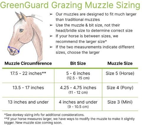 GREENGUARD Grazing Horse Muzzle, Black, Pony, 4-in - Chewy.com