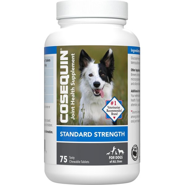 NUTRAMAX Proviable Probiotics Daily Digestive Health Chewable Tablet ...