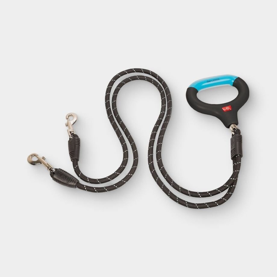 Dog Leashes: Retractable, Training & More (Free Shipping) | Chewy