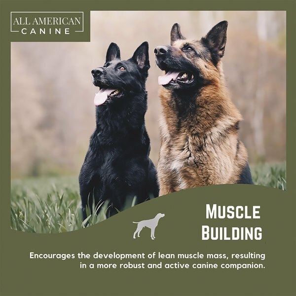 ALL AMERICAN CANINE High-Calorie Weight Gainer Protein Powder Dog ...