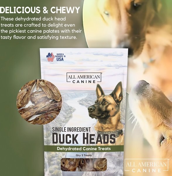 ALL AMERICAN CANINE Duck Heads Dehydrated Dog Treats, 5 count - Chewy.com