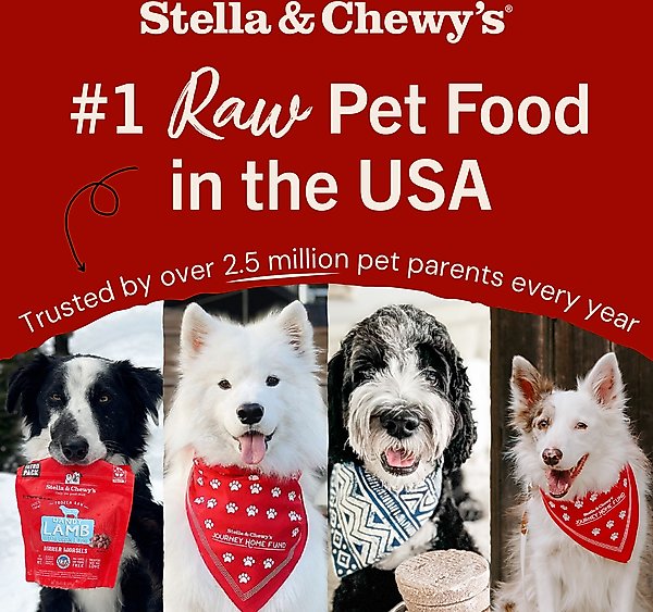 STELLA & CHEWY'S Stella's Super Beef Patties Frozen Raw Dog Food, 12-lb ...