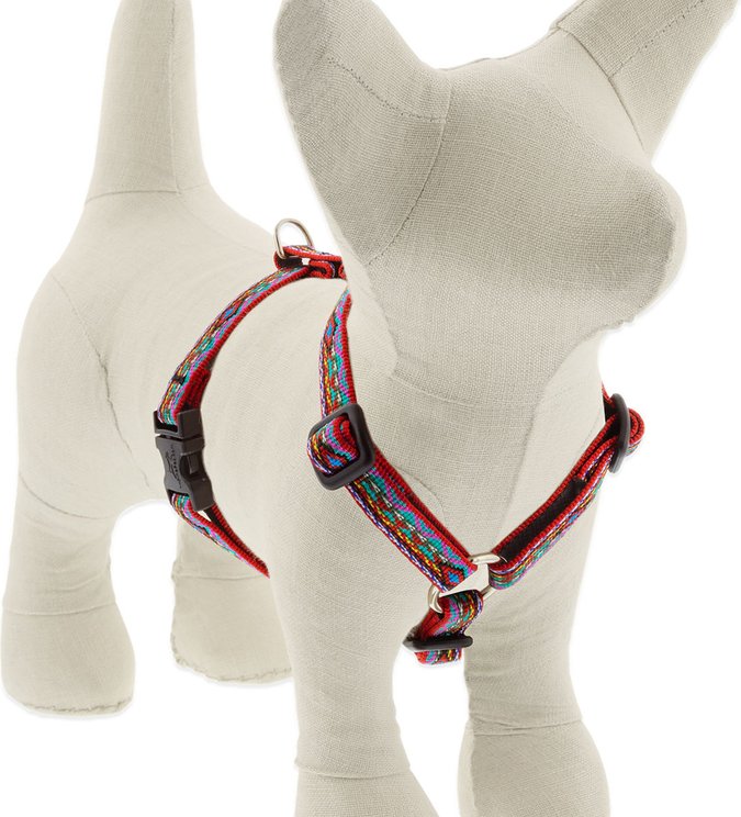SMALL BREED DOG HARNESSES (Free Shipping) | Chewy