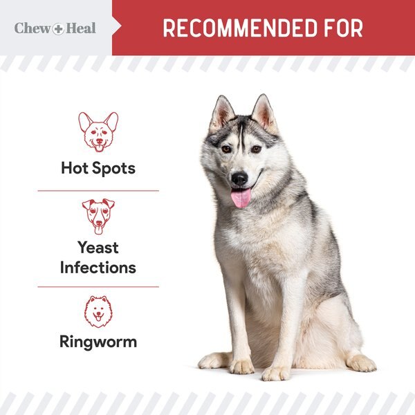 Out of Stock - CHEW + HEAL Antibacterial & Antifungal Chlorhexidine ...