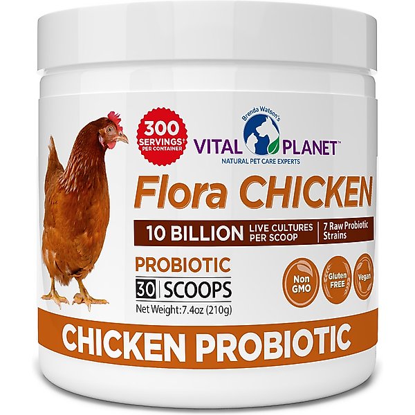 BUFF CLUCKS Herb Chicken Supplement, 12-oz bag - Chewy.com
