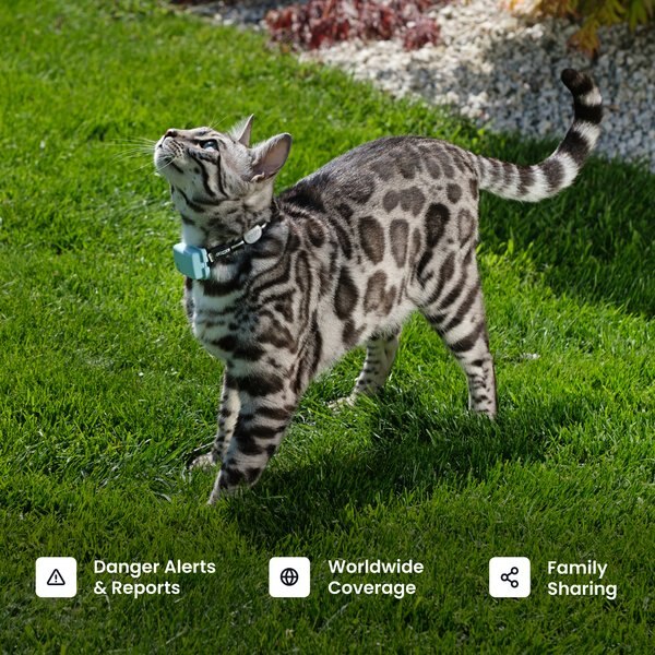 Out of Stock - TRACTIVE Smart Cat GPS Tracker with Wellness Monitoring ...