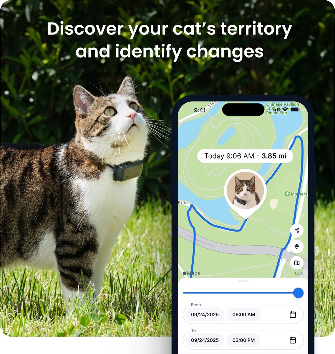 TRACTIVE Smart Cat GPS Tracker & Wellness Monitor with Breakaway Cat ...