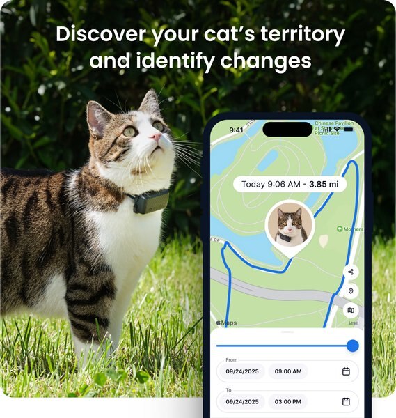 TRACTIVE Smart Cat GPS Tracker & Wellness Monitor with Breakaway Cat ...