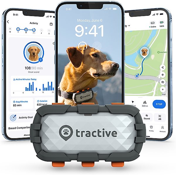 TRACTIVE Smart Dog GPS Tracker with Vital Signs Monitoring, Dog Collar ...