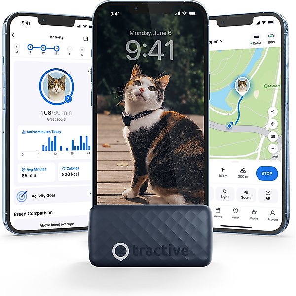 TRACTIVE Smart Cat GPS Tracker with Wellness Monitoring & Breakaway ...