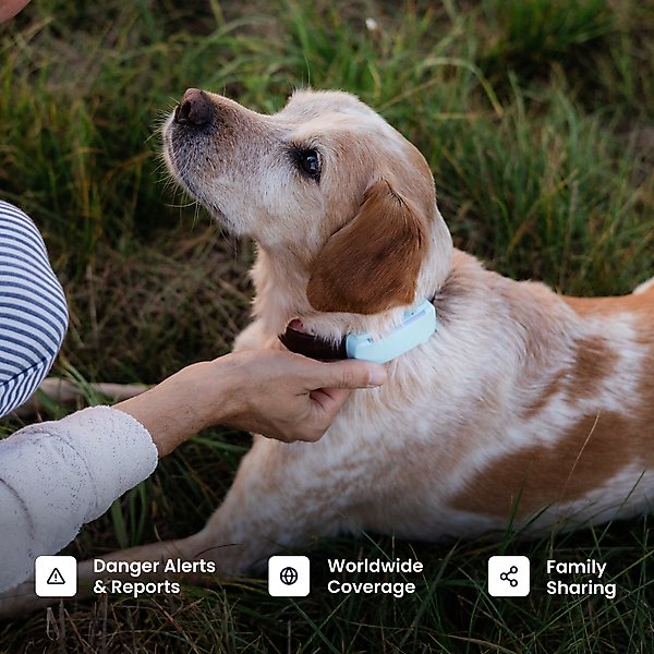 TRACTIVE Smart Dog GPS Tracker with Vital Signs Monitoring, Dog Collar ...